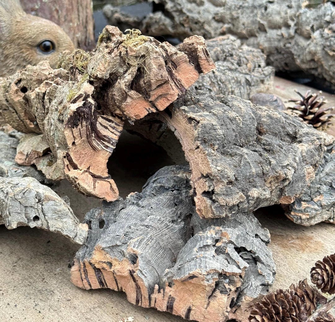 Cork Log Pieces for Hamster Cages, Reptile Tank Decor - Etsy