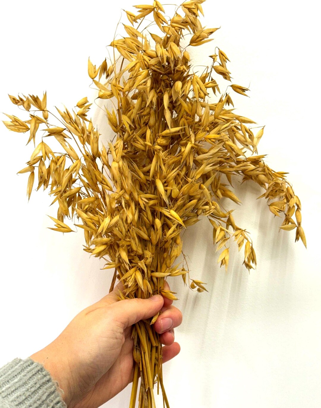 Natural Dried Oat Sprays for Small Animal Enrichment - Etsy