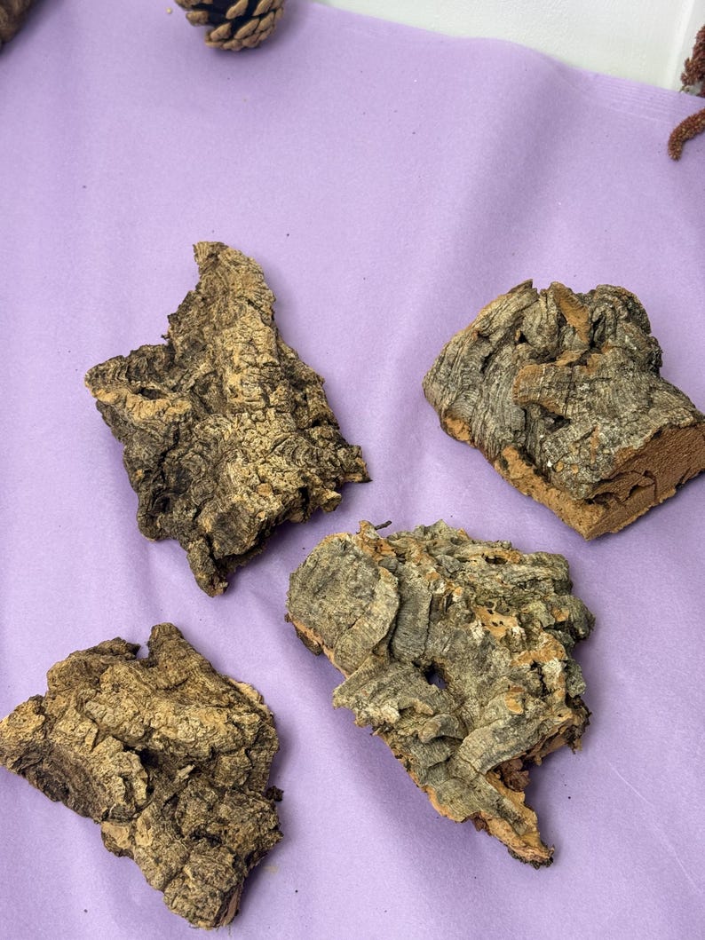 Cork Log Pieces for Hamster Cages, Reptile Tank Decor - Etsy