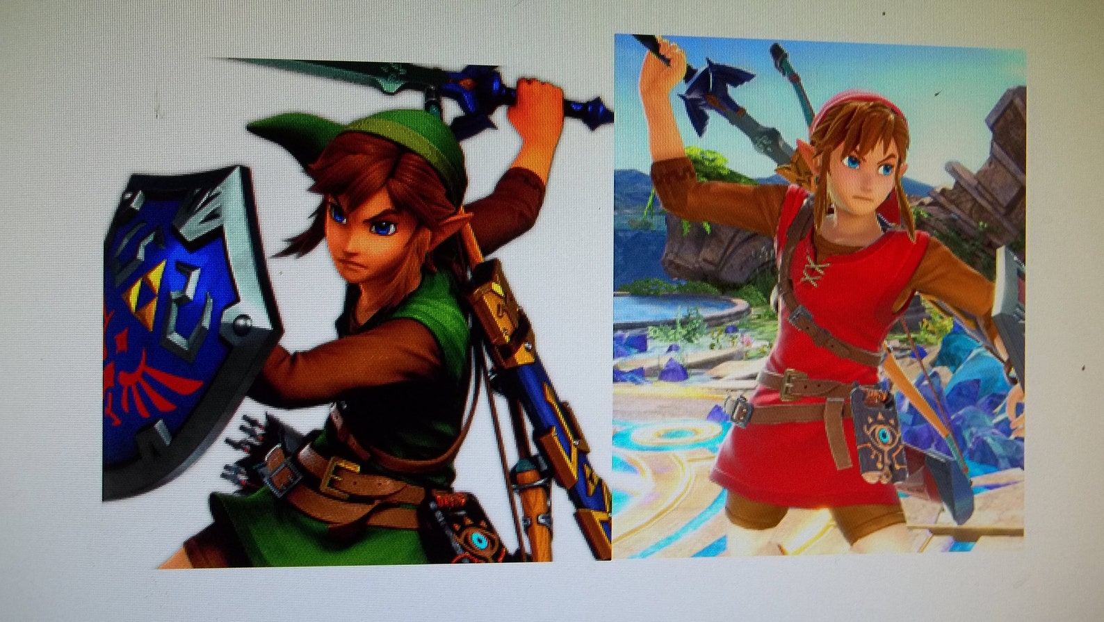 Tunic of the Wild Complete Link Costume: Tunic Hat Belts - Etsy