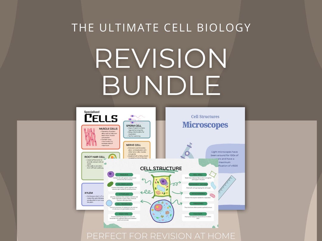 GCSE Cell Biology Revision Bundle | Revision Study Guide (digital ...