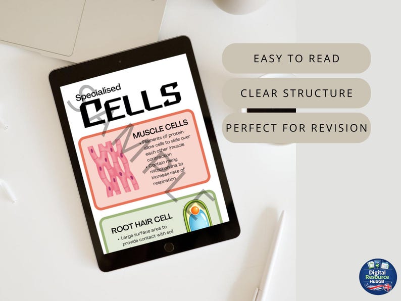 GCSE Biology Specialised Cells Poster | Printable Revision Resource ...
