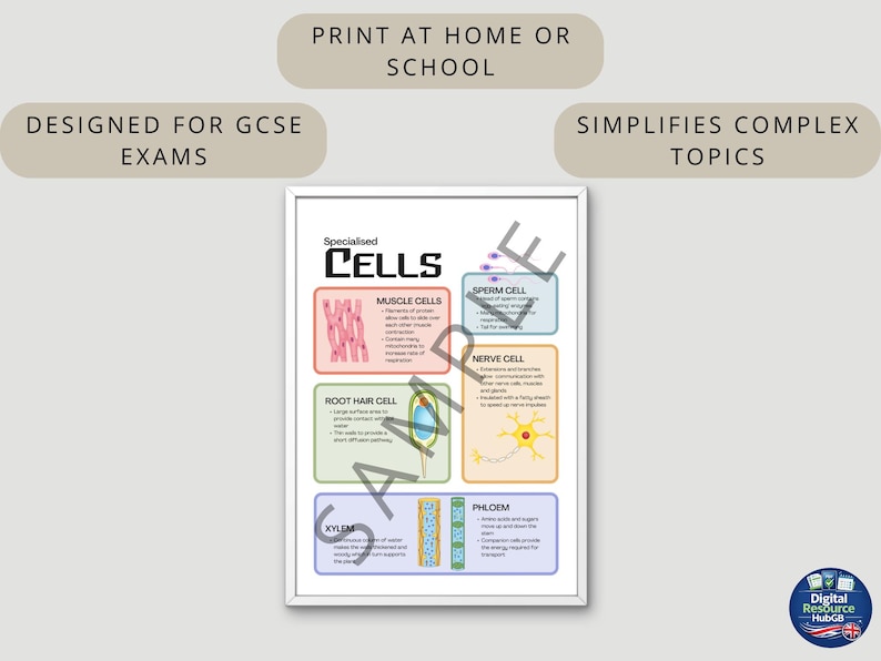 GCSE Biology Specialised Cells Poster | Printable Revision Resource ...