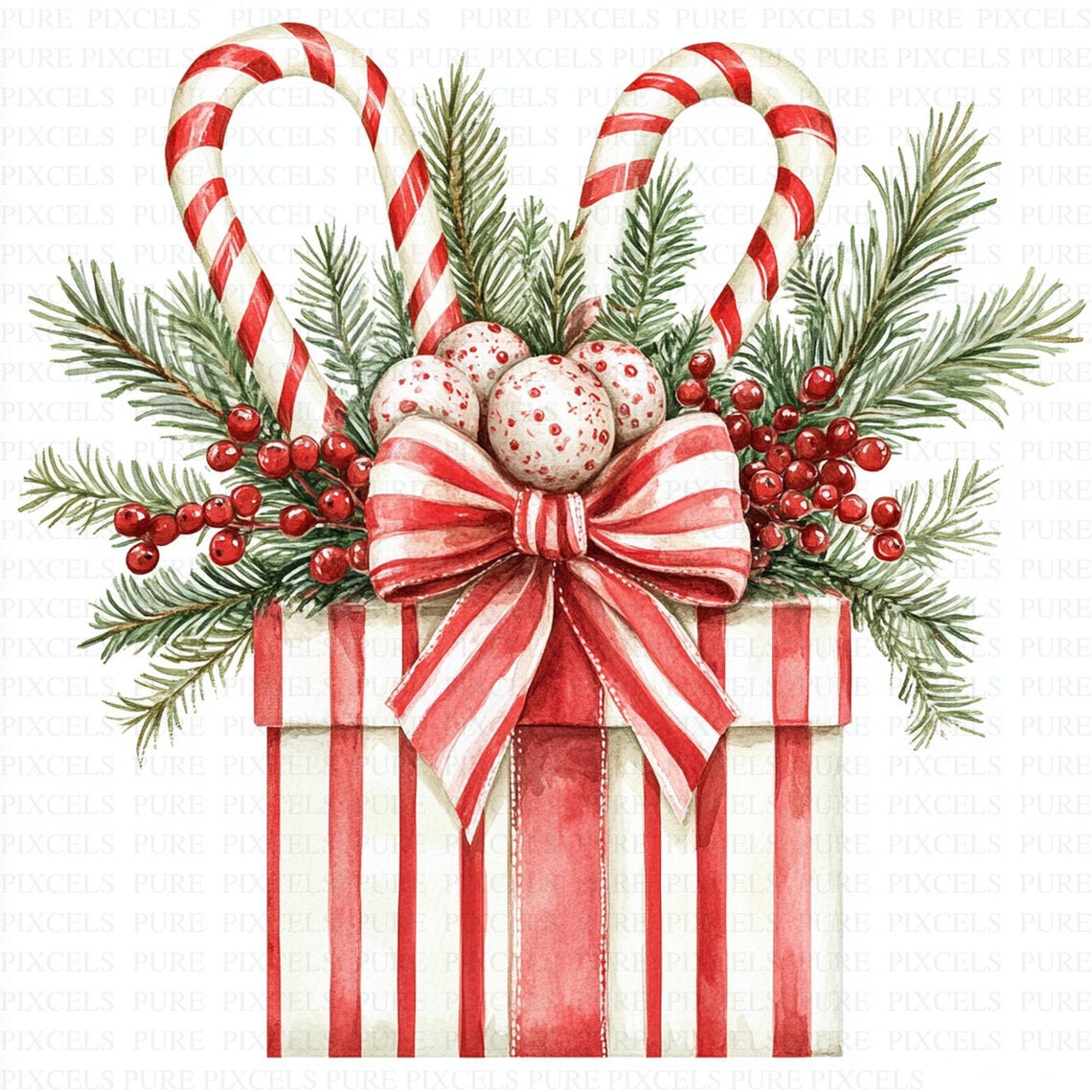 Watercolor Festive Candy Cane Clipart | 5 High Quality Jpgs | Digital ...