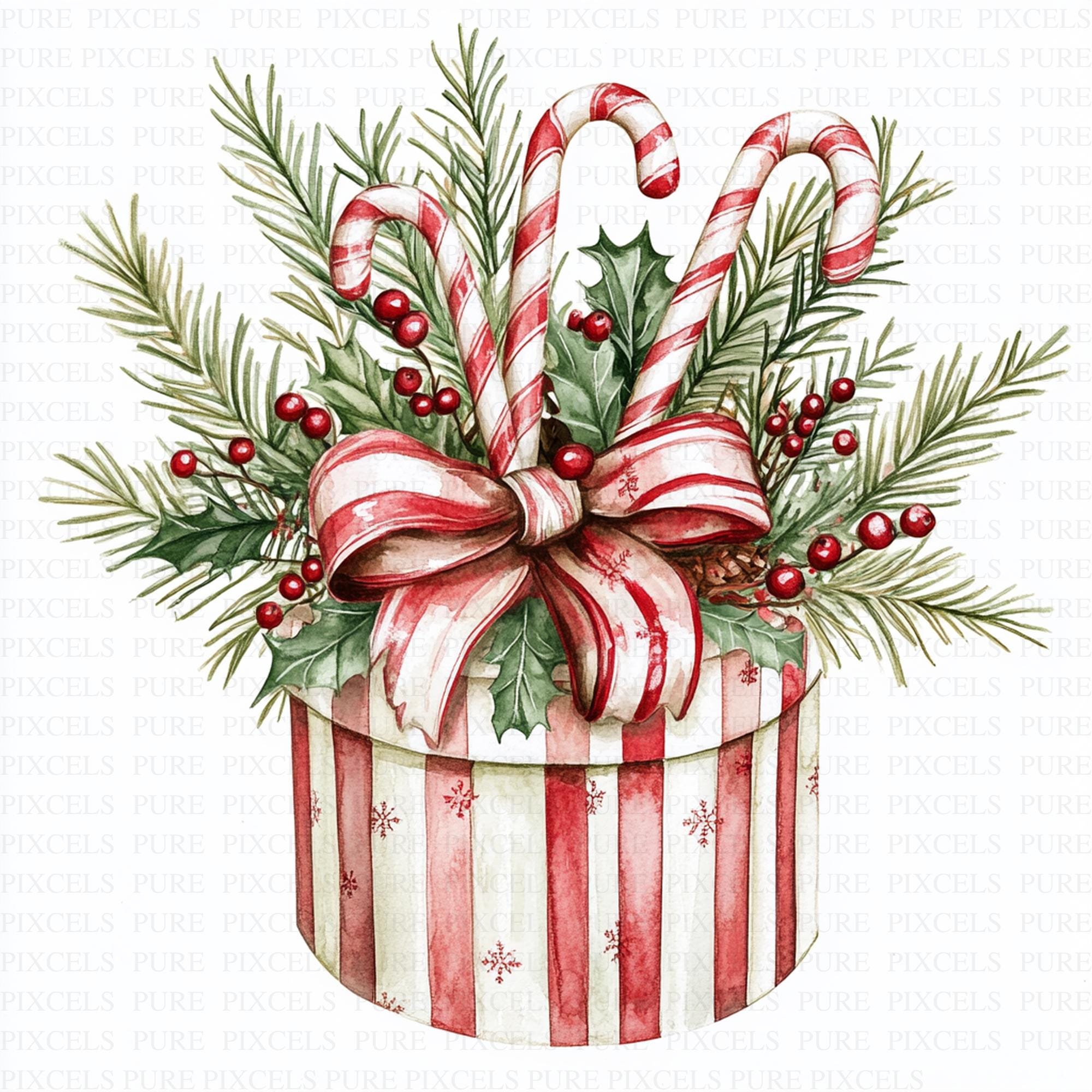 Watercolor Festive Candy Cane Clipart | 5 High Quality Jpgs | Digital ...