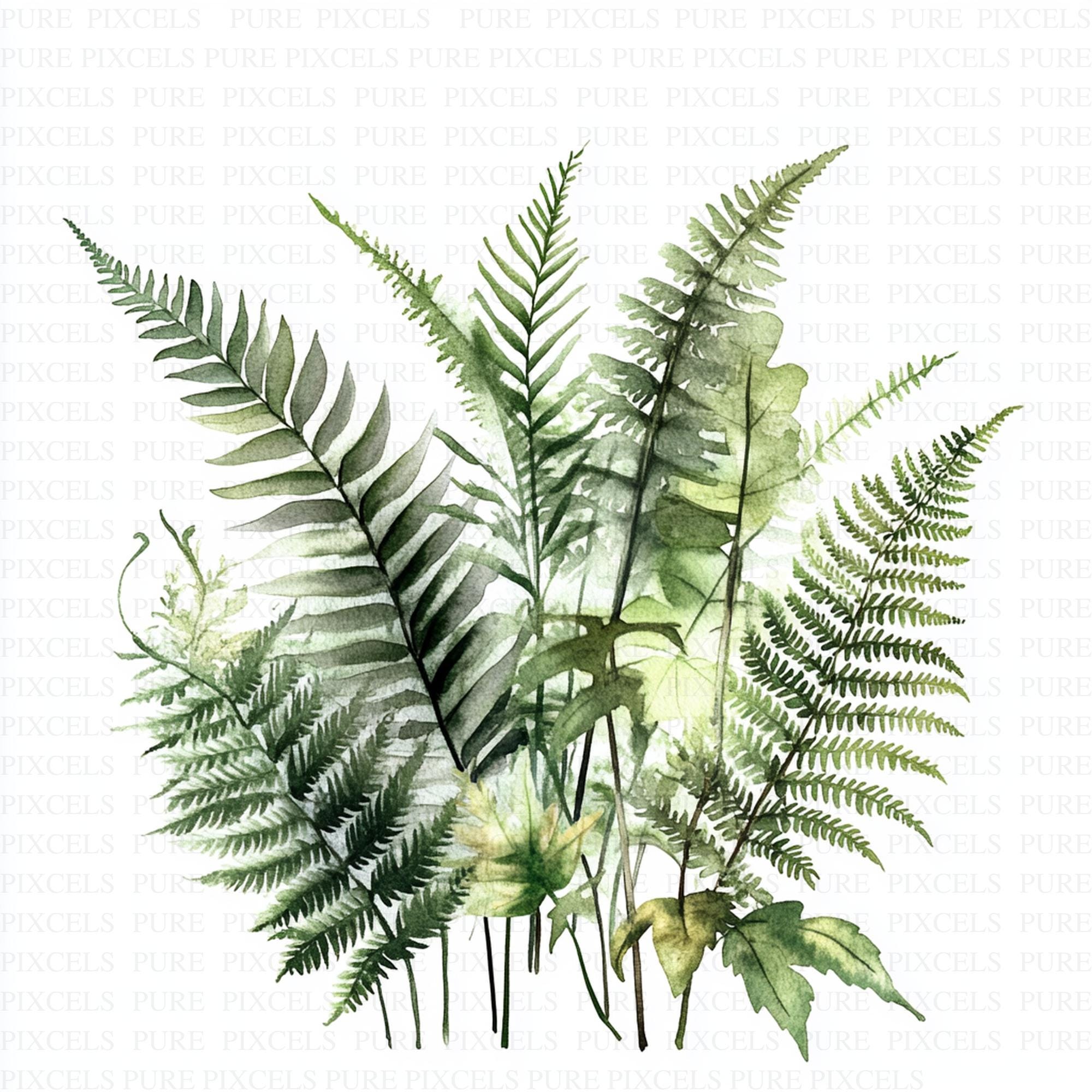 Watercolor Forest Fern Leaves Clipart | 5 High Quality Jpgs | Digital ...