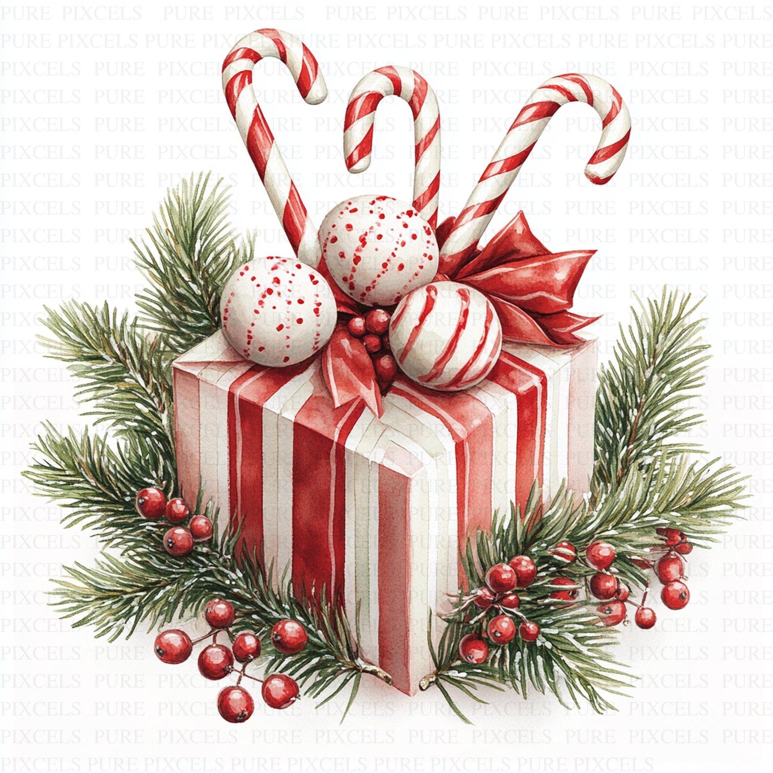 Watercolor Festive Candy Cane Clipart | 5 High Quality Jpgs | Digital ...