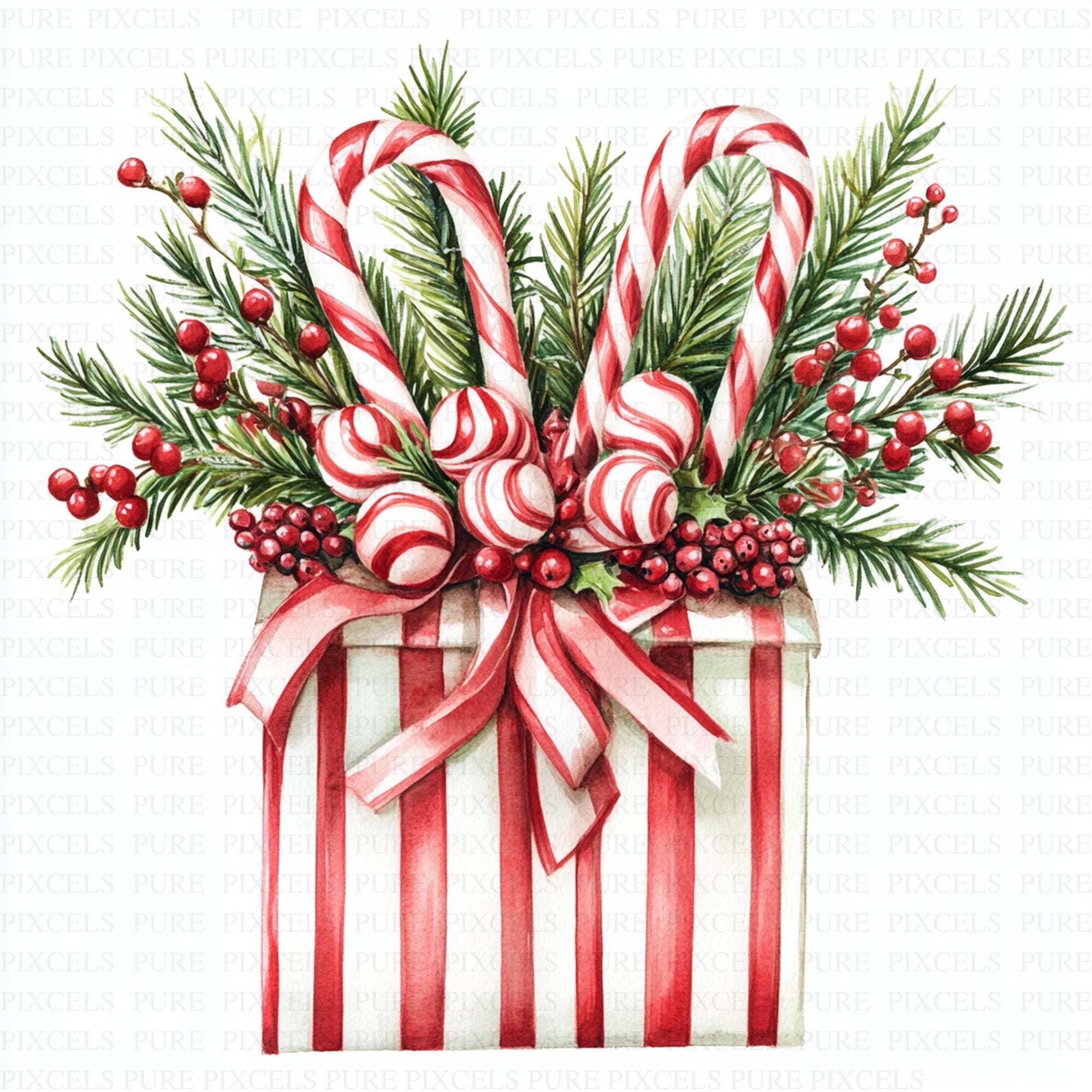 Watercolor Festive Candy Cane Clipart | 5 High Quality Jpgs | Digital ...