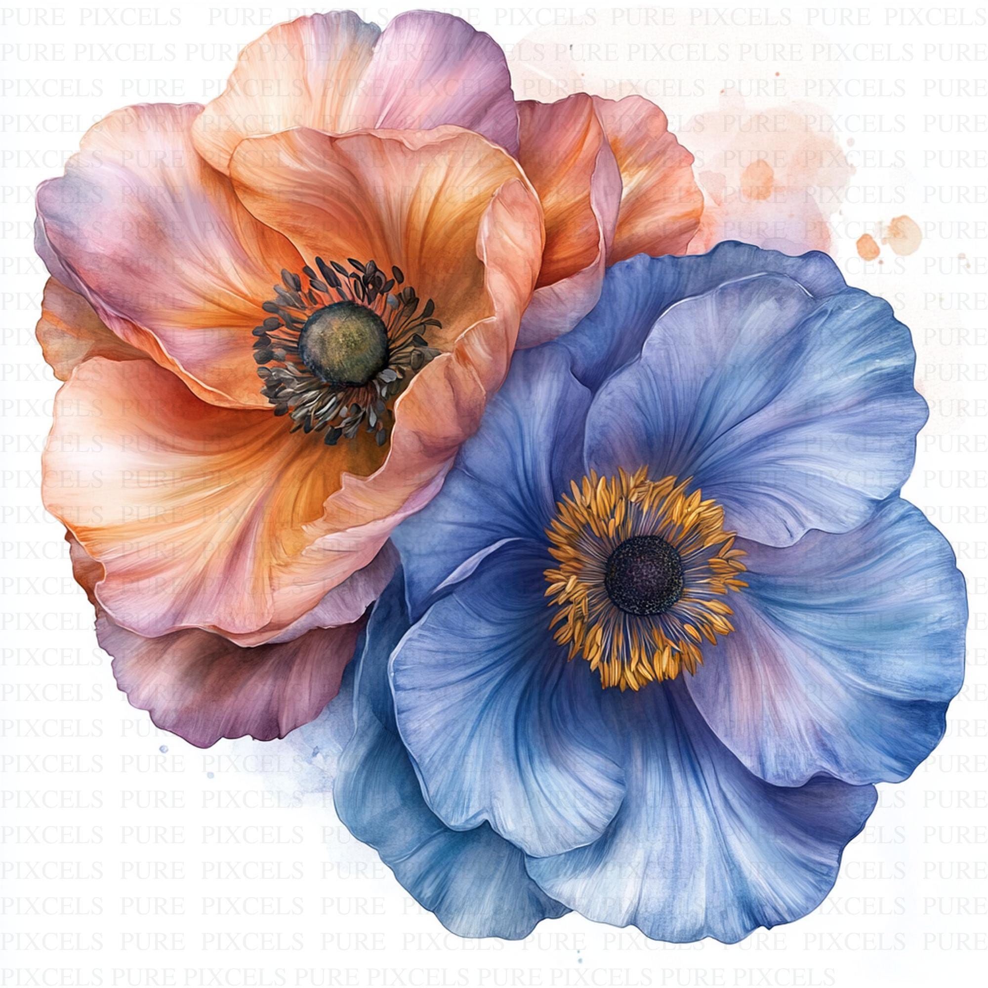 Watercolor Abstract Flowers Clipart | 5 High Quality Jpgs | Digital ...