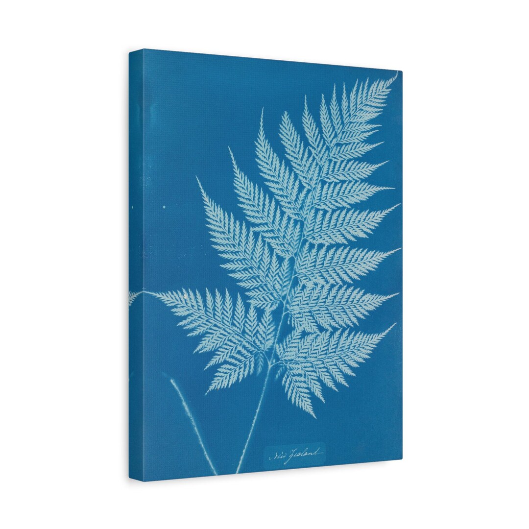 Anna Atkins Cyanotype Canvas Print: Vintage New Zealand Botanical Art ...