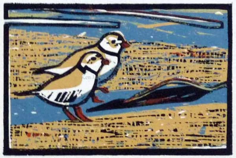 Piping Plover at 'themeadows' of Cape May Woodcut - Etsy