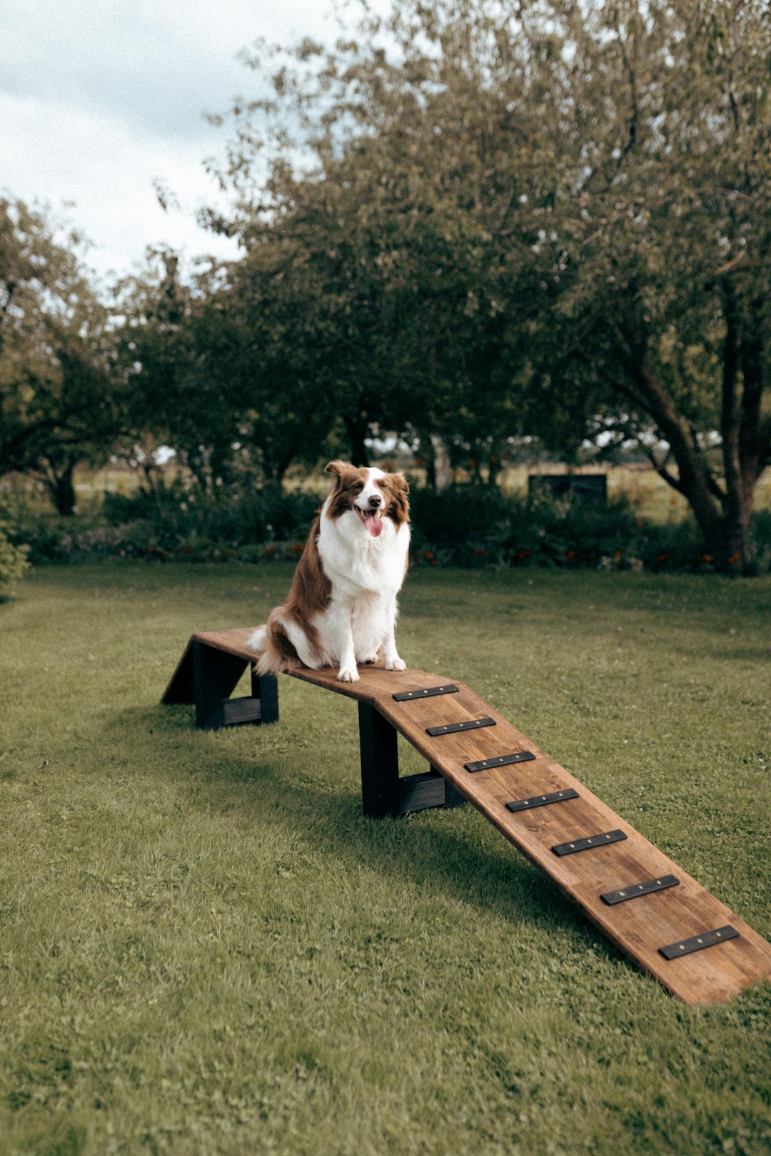 Dog Agility Walk - a Handcrafted Hardwood Training Equipment for Your ...