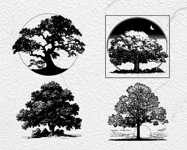 Oak Tree SVG PNG Bundle | Tree Silhouette Vector | Cricut Cut Files ...