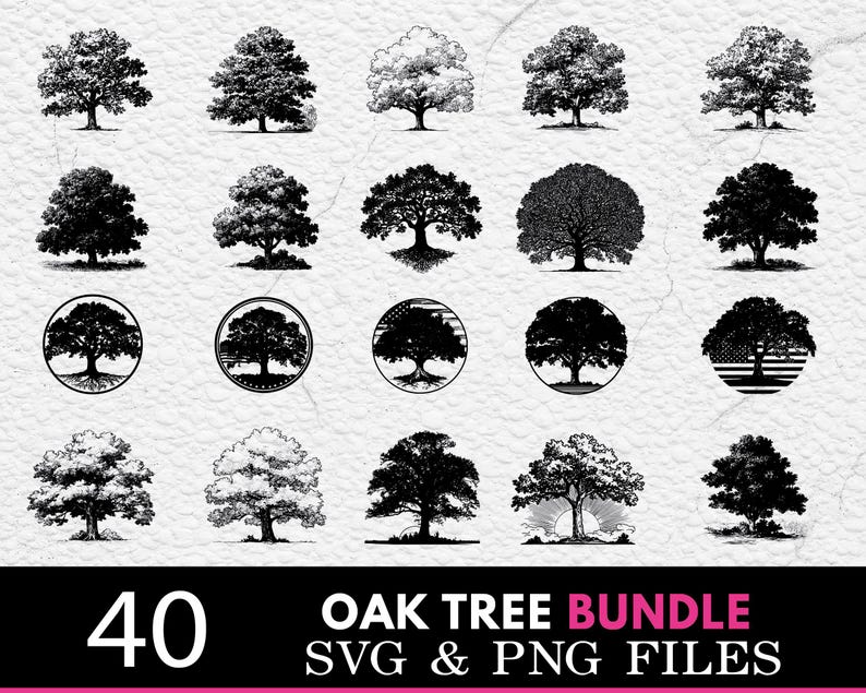 Oak Tree SVG PNG Bundle | Tree Silhouette Vector | Cricut Cut Files ...
