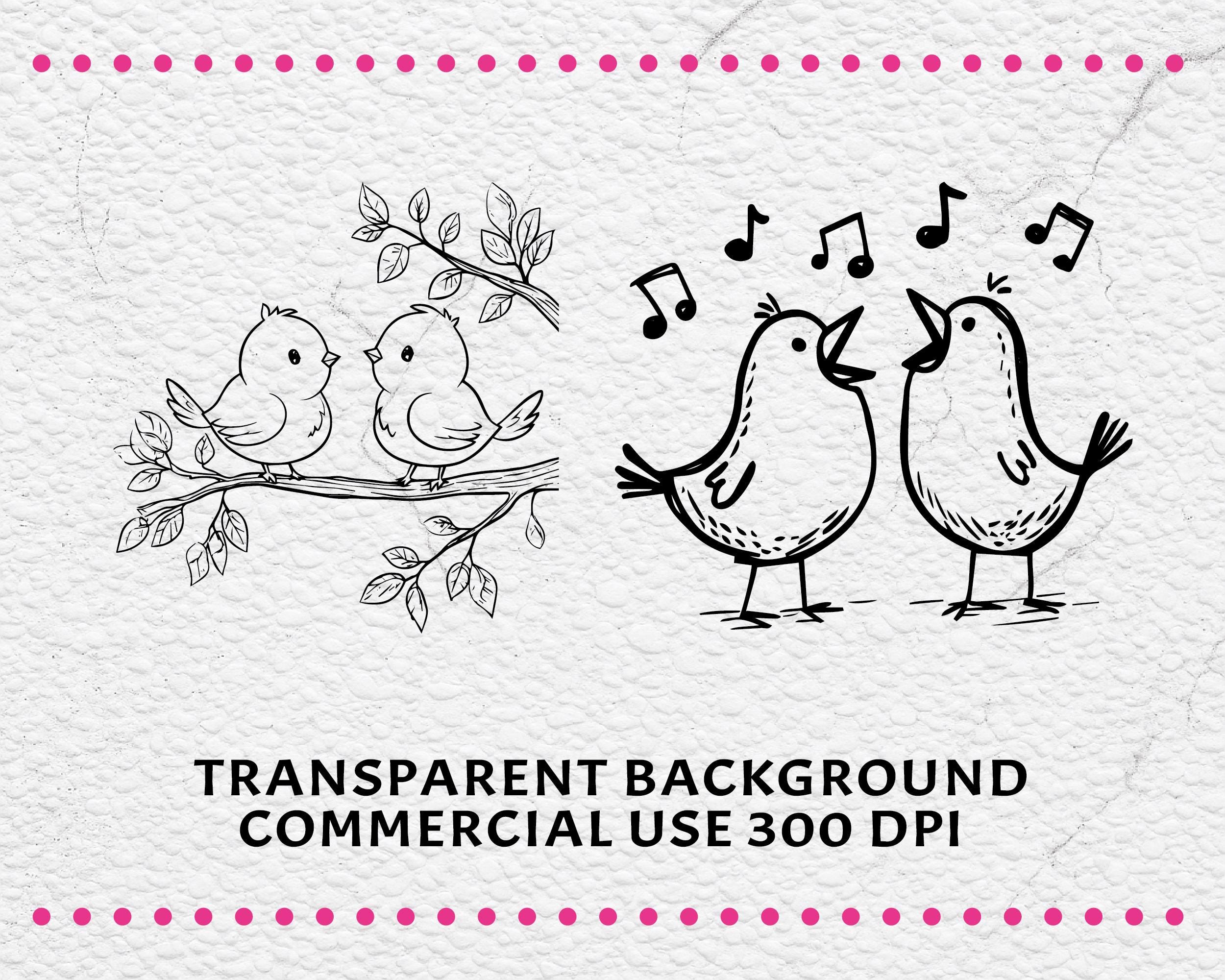 Funny Birds SVG PNG Bundle: Whimsical Cartoon Clipart (digital Download ...