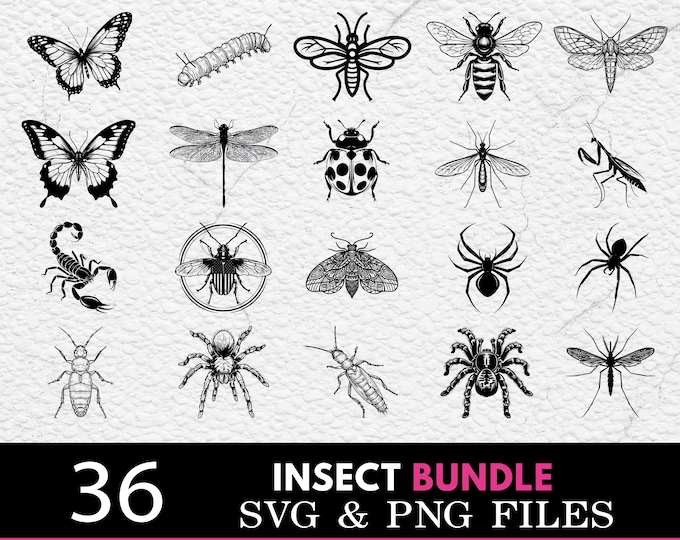 Bug SVG Bundle, Insect SVG Bundle, Bugs SVG, Butterfly Svg, Bee Svg ...