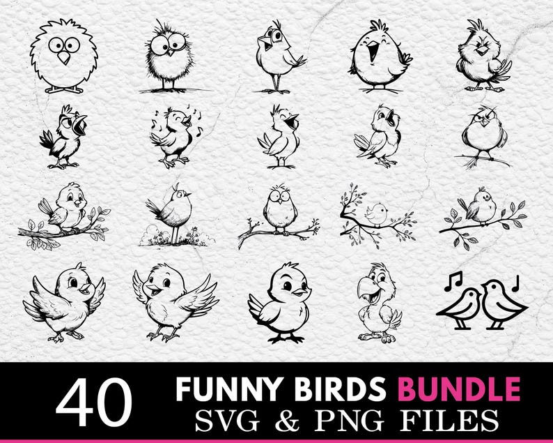 Funny Birds SVG PNG Bundle: Whimsical Cartoon Clipart (digital Download ...