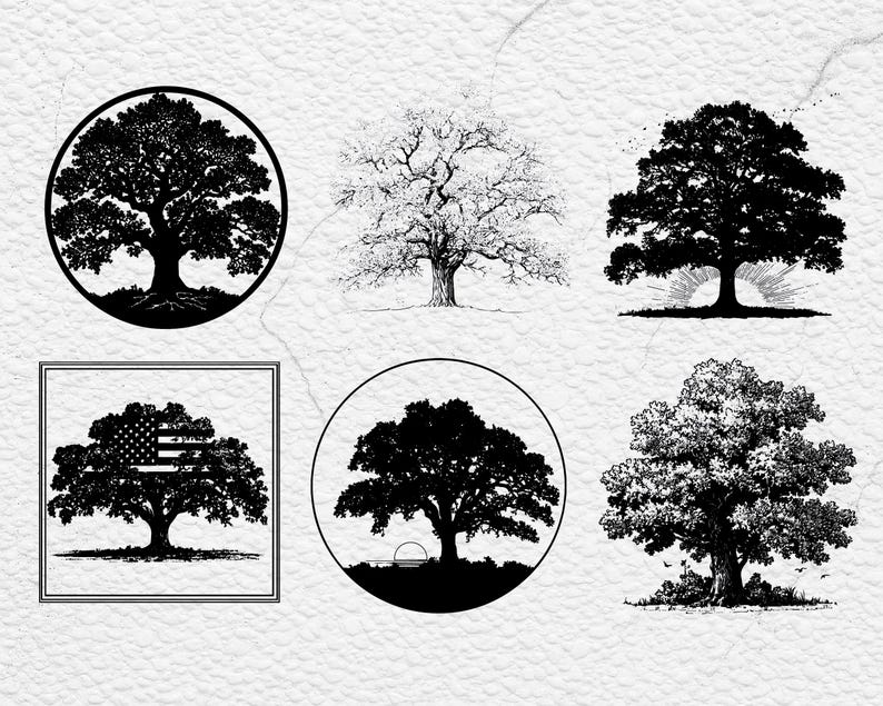 Oak Tree SVG PNG Bundle | Tree Silhouette Vector | Cricut Cut Files ...