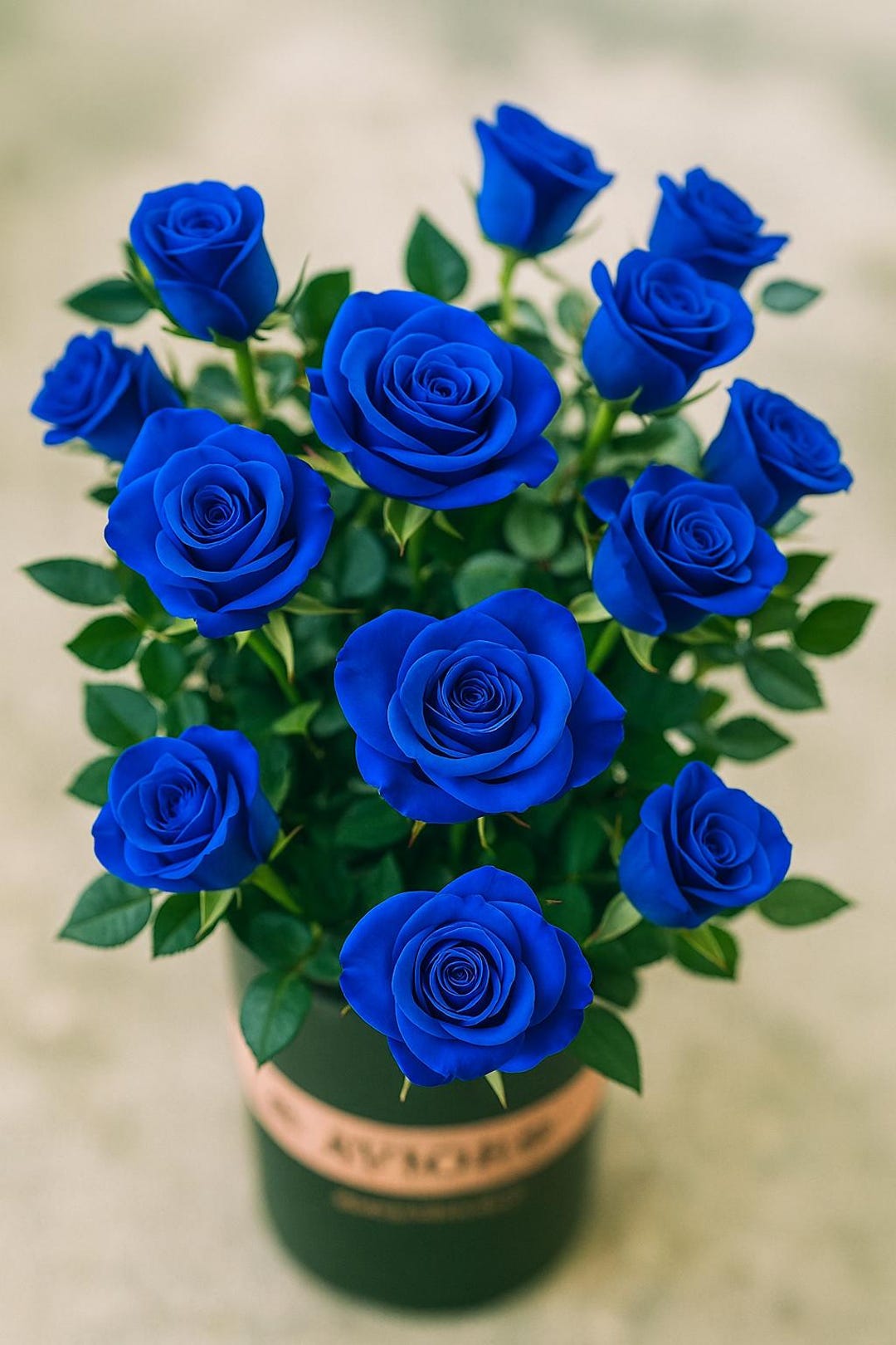 20 Navy Blue Rare Rose Seeds, Hybrid Tea Flower Bush, Exotic Garden ...