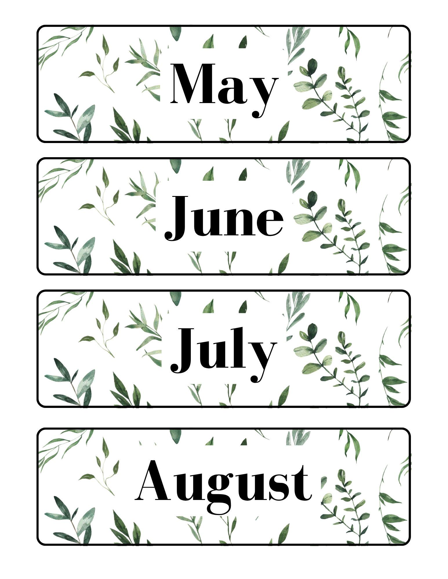 Greenery Classroom Calendar Set | Days of the Week & Months of the Year ...
