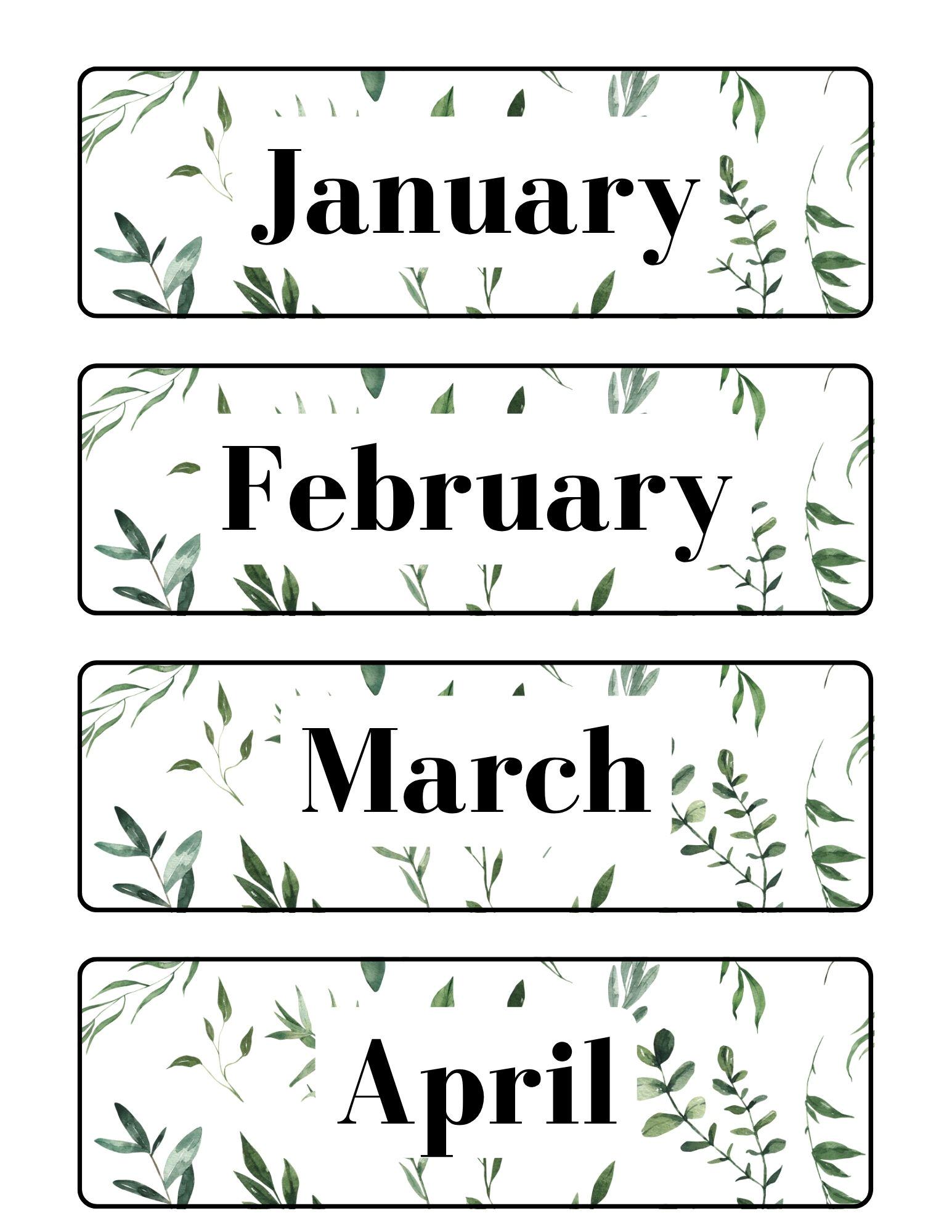 Greenery Classroom Calendar Set | Days of the Week & Months of the Year ...