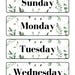 Greenery Classroom Calendar Set | Days of the Week & Months of the Year ...