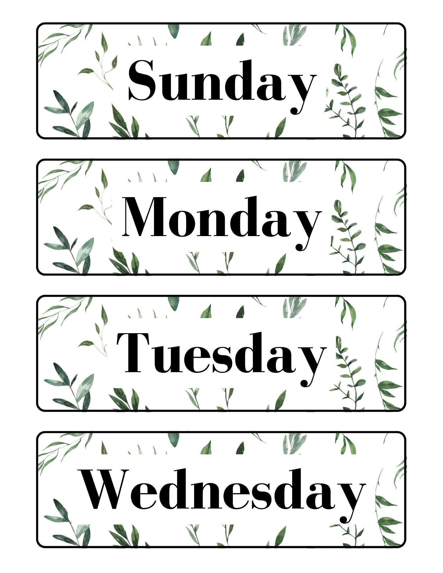 Greenery Classroom Calendar Set | Days of the Week & Months of the Year ...