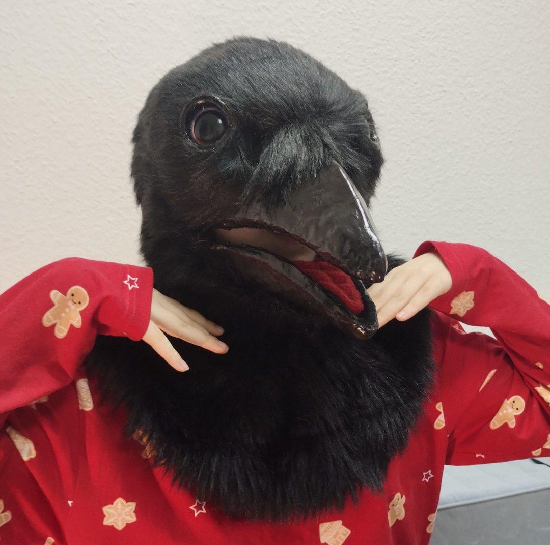 Raven Fursuit. Crow. Ready to Purchase. Realistic. Furry. Fursuit ...