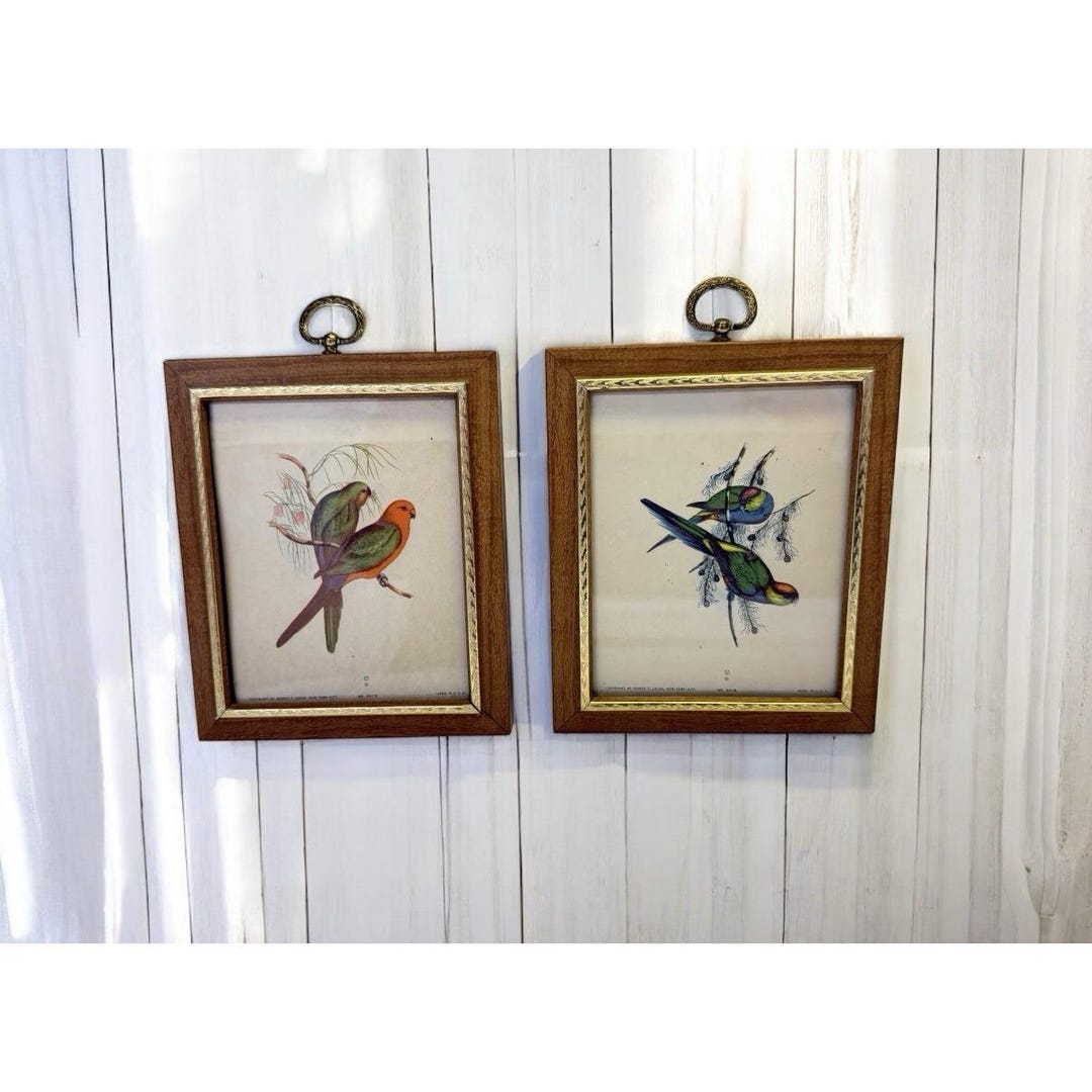 2 Vtg Sidney Z. Lucas 1930s-1940s Lithograph Framed Prints Parakeet ...