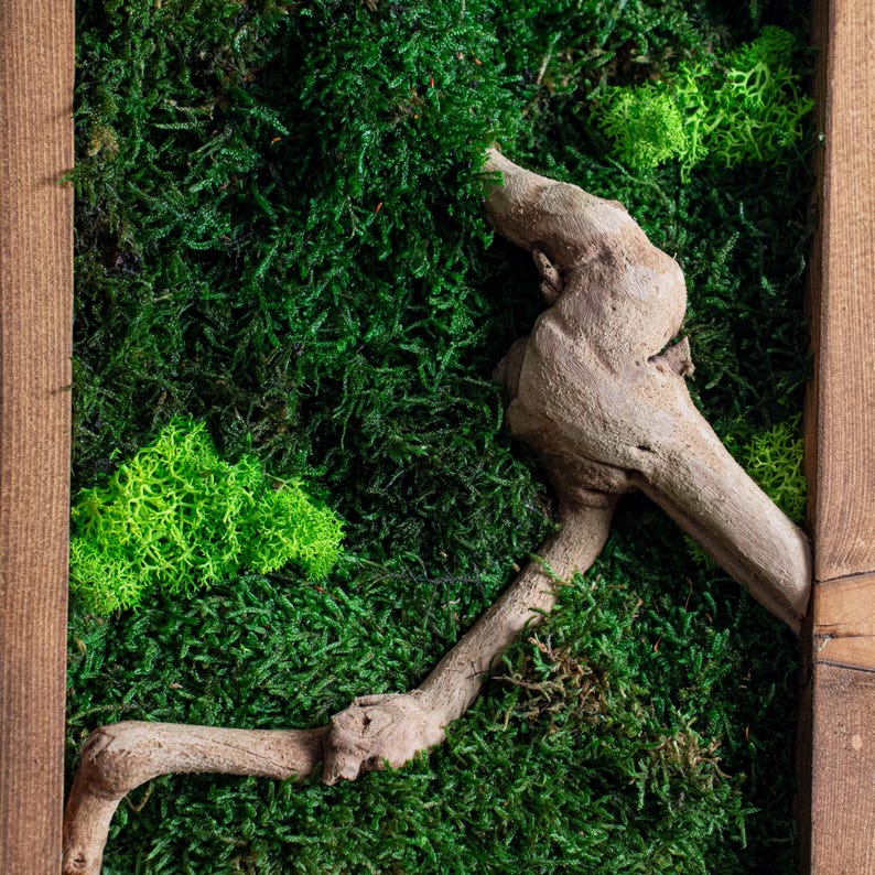 Rustic Moss and Bonsai Wood Wall Art, Vertical Wooden Frame Moss Wall ...