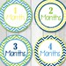 Baby Boy Monthly Stickers, Instant Download, Monthly Baby Stickers ...