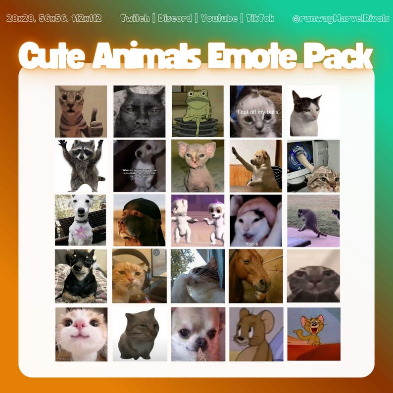CUTE ANIMALS 25 Emote Pack | Funny Meme Emotes for Twitch, Discord ...