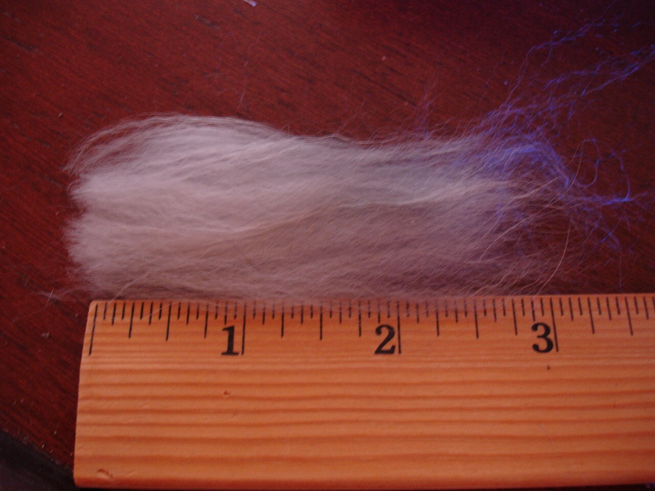 1/2 Oz Angora Fiber, Prime, From tibbro Black English Angora Rabbit ...