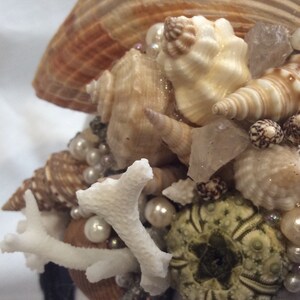 Mermaid Crown With Real Seashells, Sea Urchin, Pyrite, Coral Pieces ...