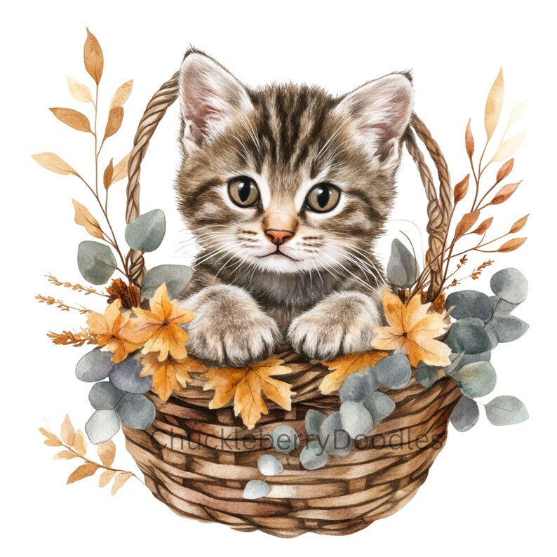15 Fall Kitten Clipart PNG Bundle - Cute Autumn Cats Digital Art - Cozy ...
