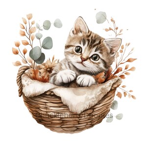 15 Fall Kitten Clipart PNG Bundle - Cute Autumn Cats Digital Art - Cozy ...