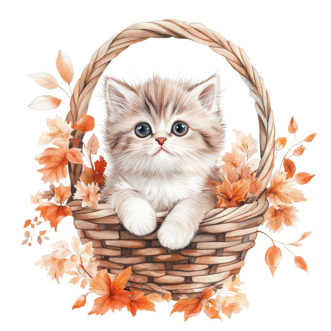 15 Fall Kitten Clipart PNG Bundle - Cute Autumn Cats Digital Art - Cozy ...