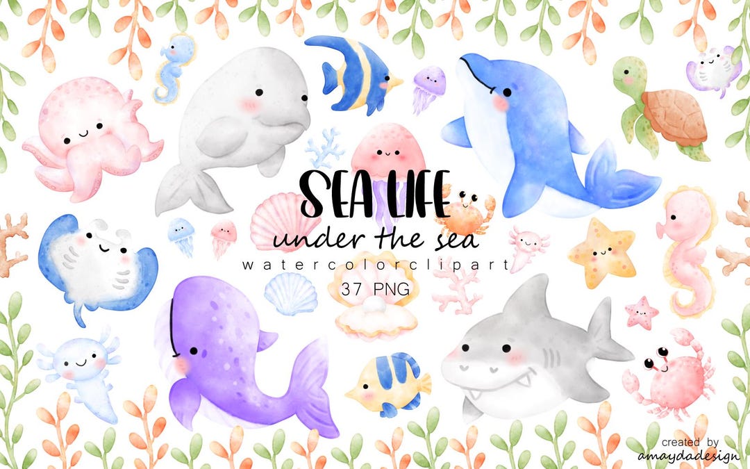 Watercolor Sea Life Clipart – Ocean Animals PNG Set (digital Download ...