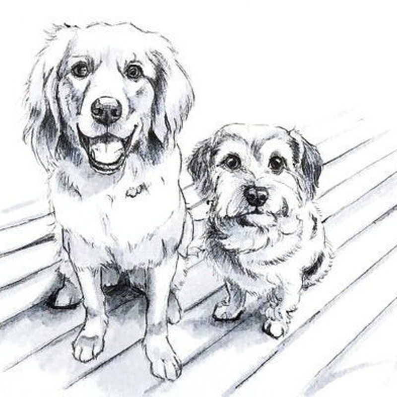 Pet Drawings - Etsy