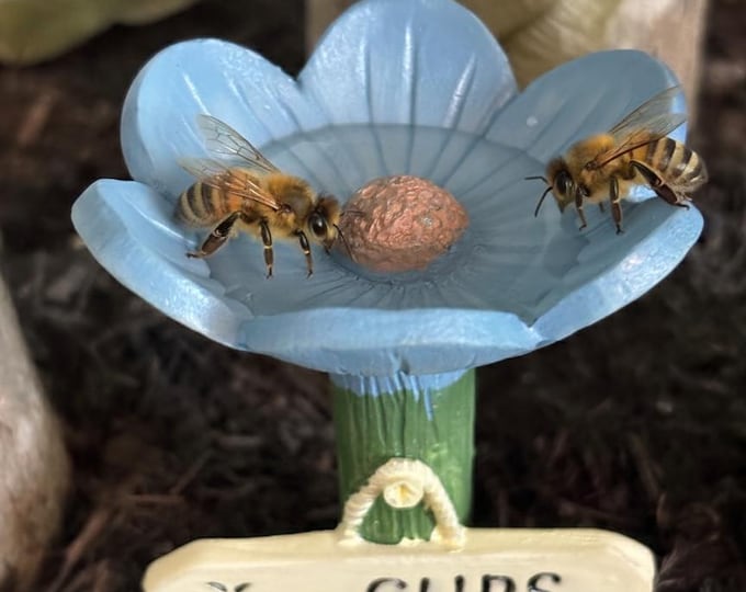 Resin Butterfly & Bee Water Feeder: Colorful Pollinator Hydration ...