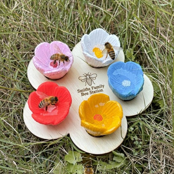 Custom Resin Insect - Etsy UK