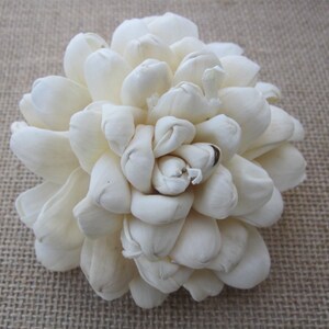 Sola Flowers -- Set 3 -- Natural - Etsy