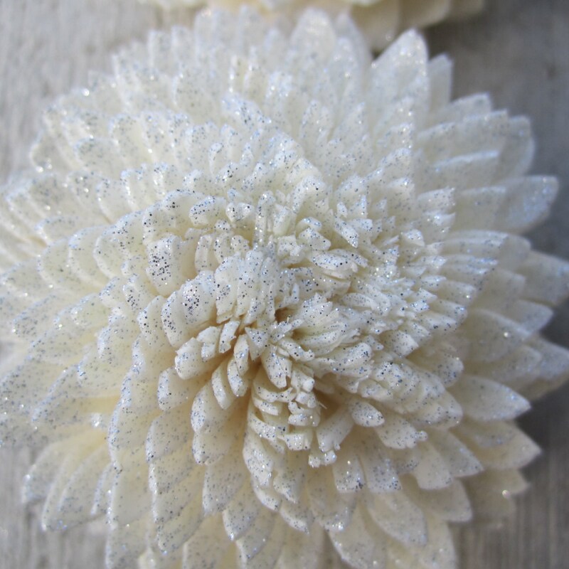 Tapioca Wood Flowers - Etsy