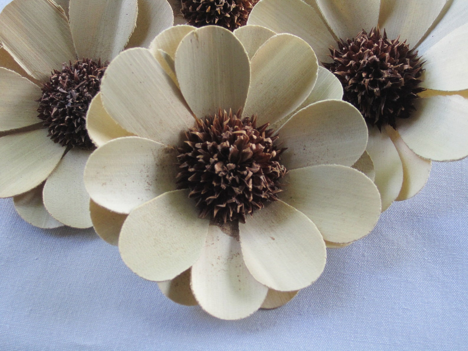 Palm Flowers in Neutral Cream Color Set of 12 - Etsy