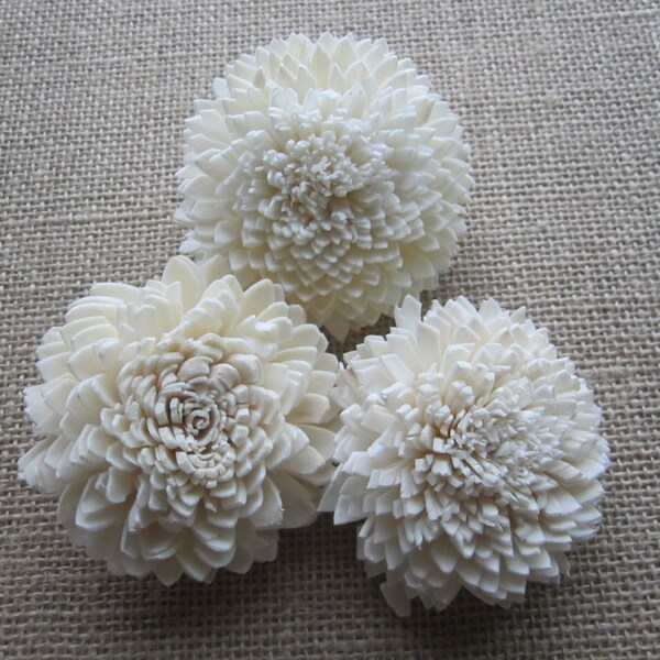 Tapioca Wood Flowers - Etsy