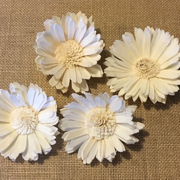 Tapioca Wood Flowers - Etsy