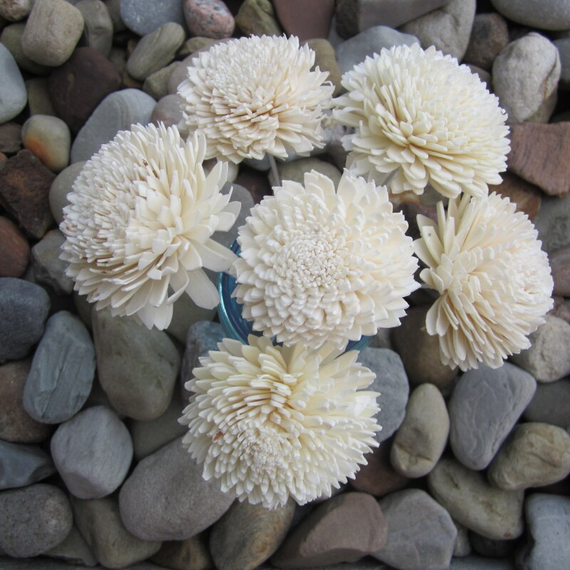 Tapioca Wood Flowers - Etsy