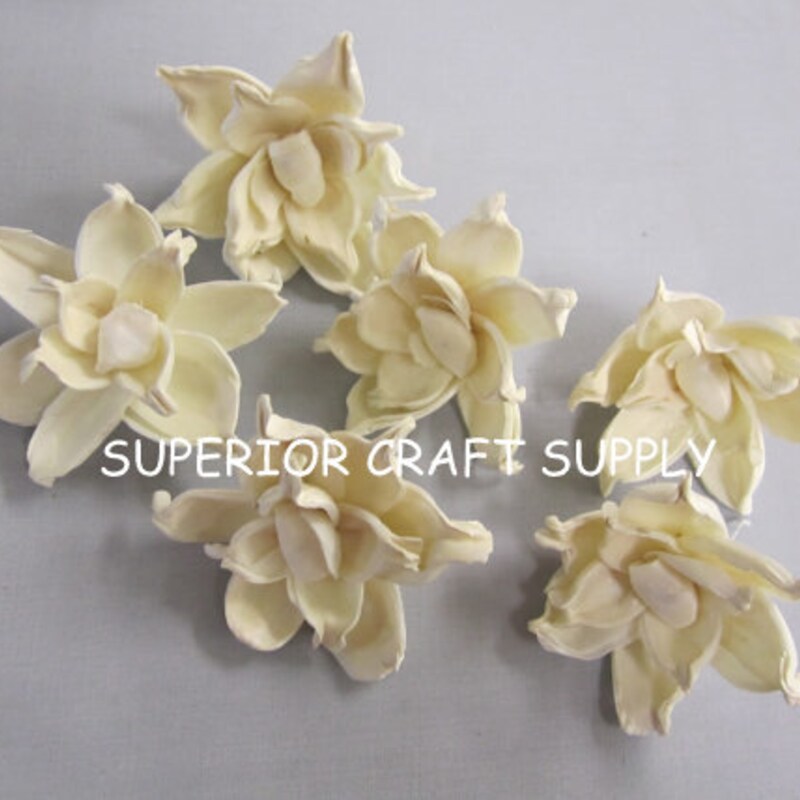 Tapioca Wood Flowers - Etsy