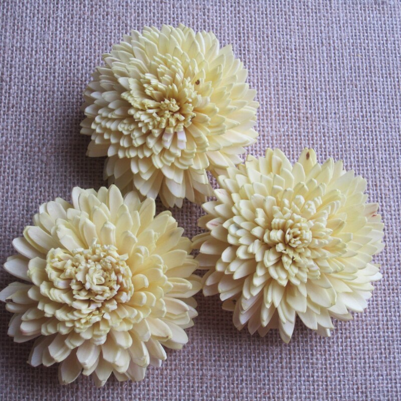Tapioca Wood Flowers - Etsy
