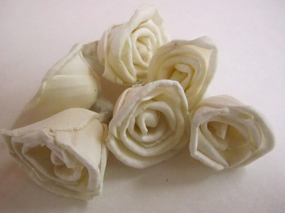 Sola Rose Flowers Set of 50 Mini Size - Etsy